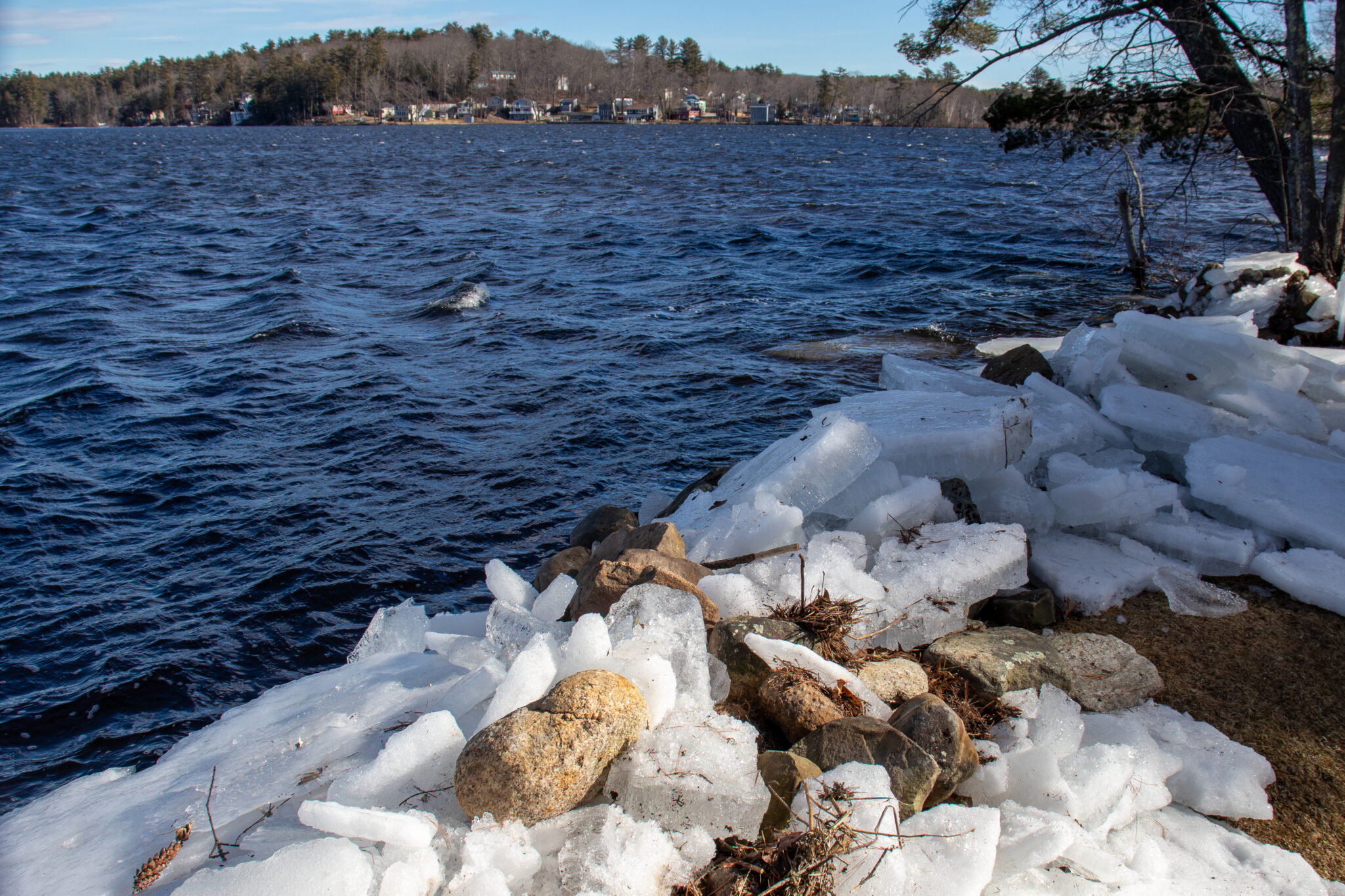 Taylor Pond Association | Committed to maintaining the water quality of ...